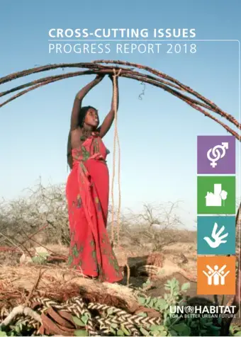 Cross-cutting Issues Progress Report 2018 | UN-Habitat